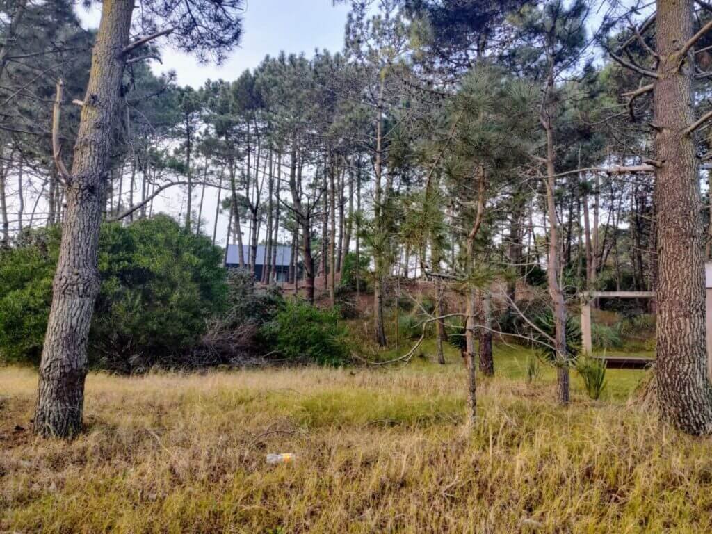 Inmobiliaria Elisa Mazzei | Inicio - inmobiliariaelisamazzei.com